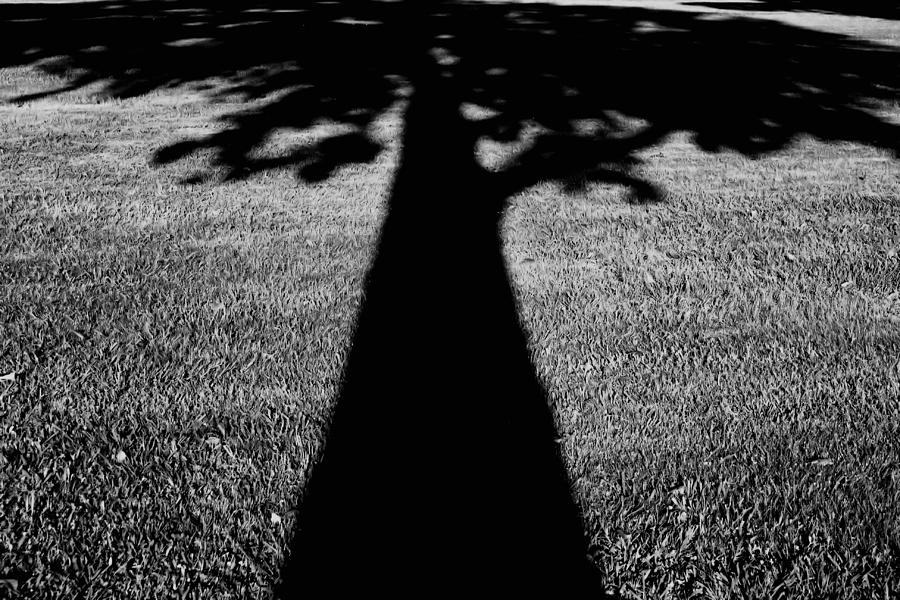 Dark Shadow Photograph by Lynnette Johns - Fine Art America