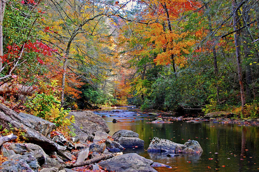 Davidson River Photograph by Donnie Smith - Fine Art America