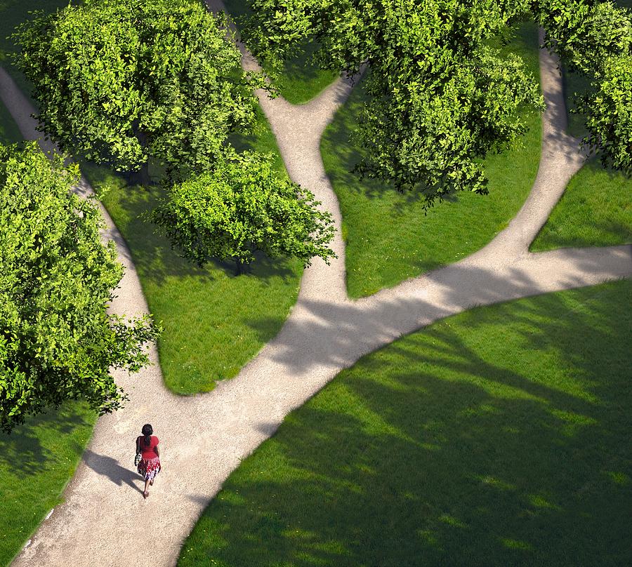 Decision Paths, Conceptual Image Photograph by Smetek - Fine Art America