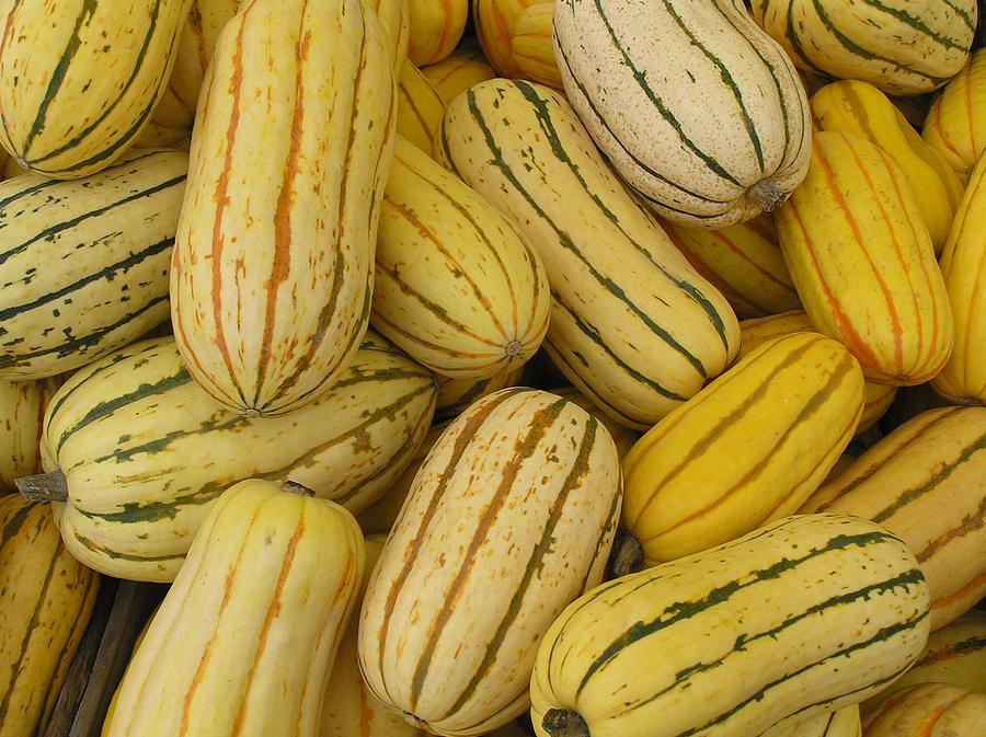 Delicata Photograph by Daniel Gasteiger - Fine Art America