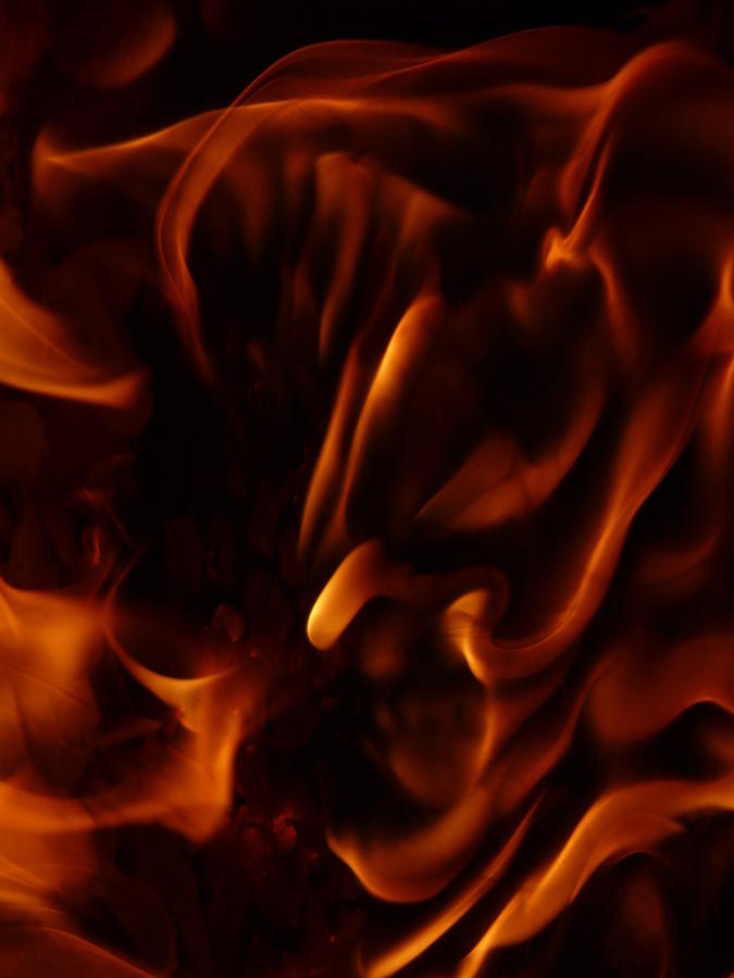 Demon Profile Photograph by Robert McCarthy - Pixels