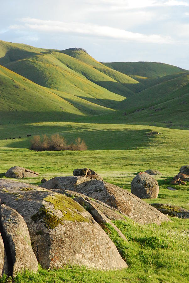Depth in Shadows Photograph by Dan Rector - Fine Art America