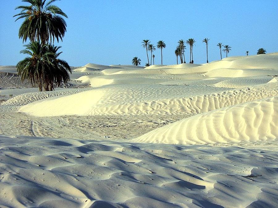 Desert looking so cool Photograph by ilendra Vyas - Fine Art America Desert looking so cool Photograph by ilendra Vyas - Fine Art America