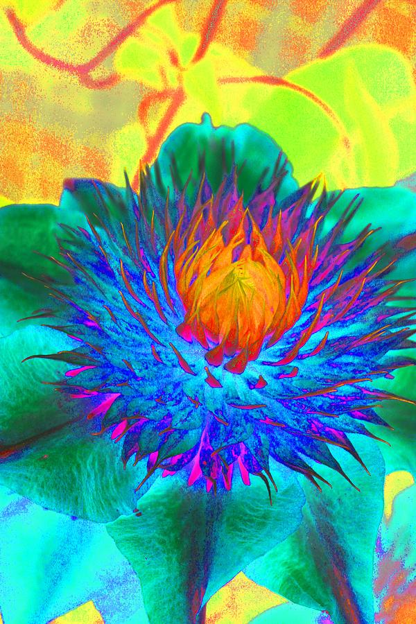 Devil's Bloom Photograph by Rdr Creative - Fine Art America