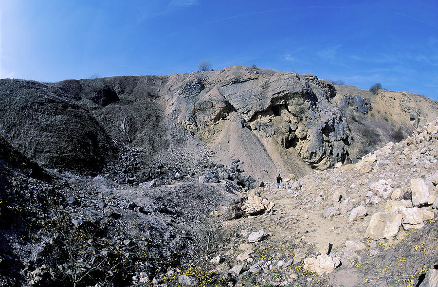 Devonian Layer Photograph by Detlev Van Ravenswaay