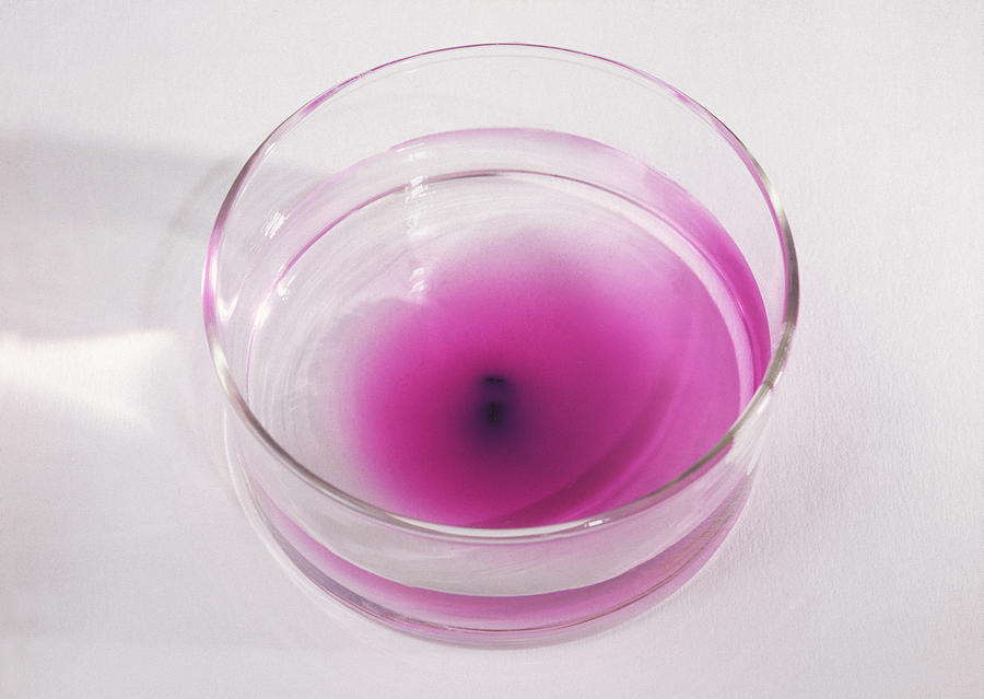 Diffusion Photograph by Andrew Lambert Photography - Pixels