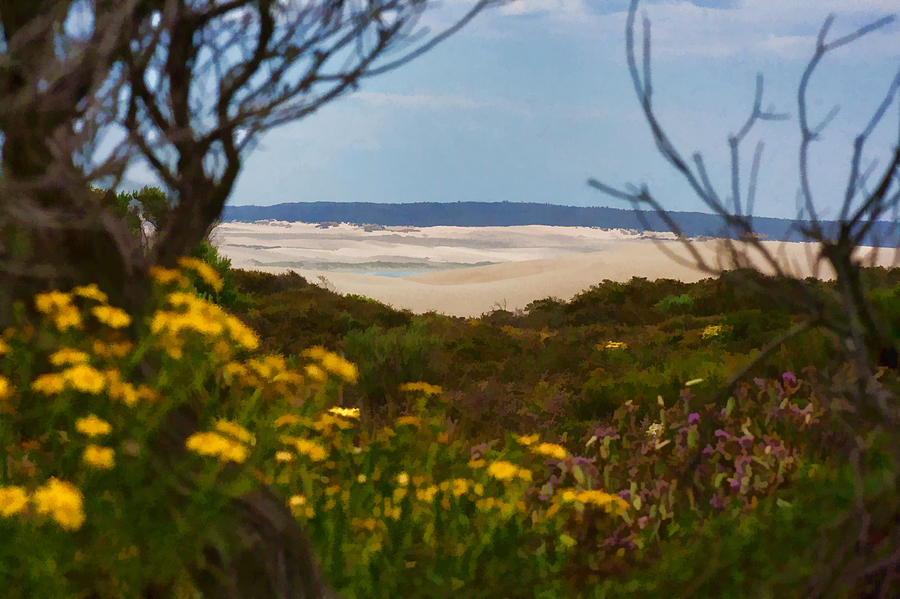 Distant Beach Photograph by Douglas Barnard - Fine Art America