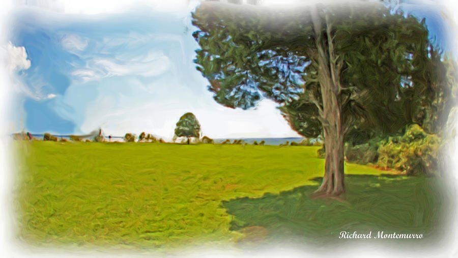 Distant Trees Photograph by Richard Montemurro - Fine Art America