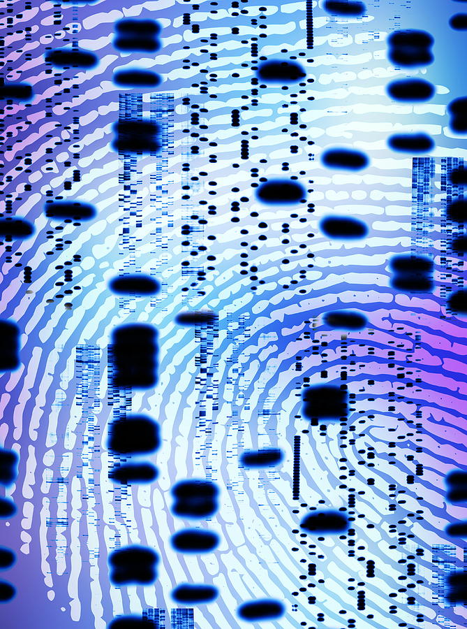 Dna Analysis Photograph by Pasieka - Fine Art America