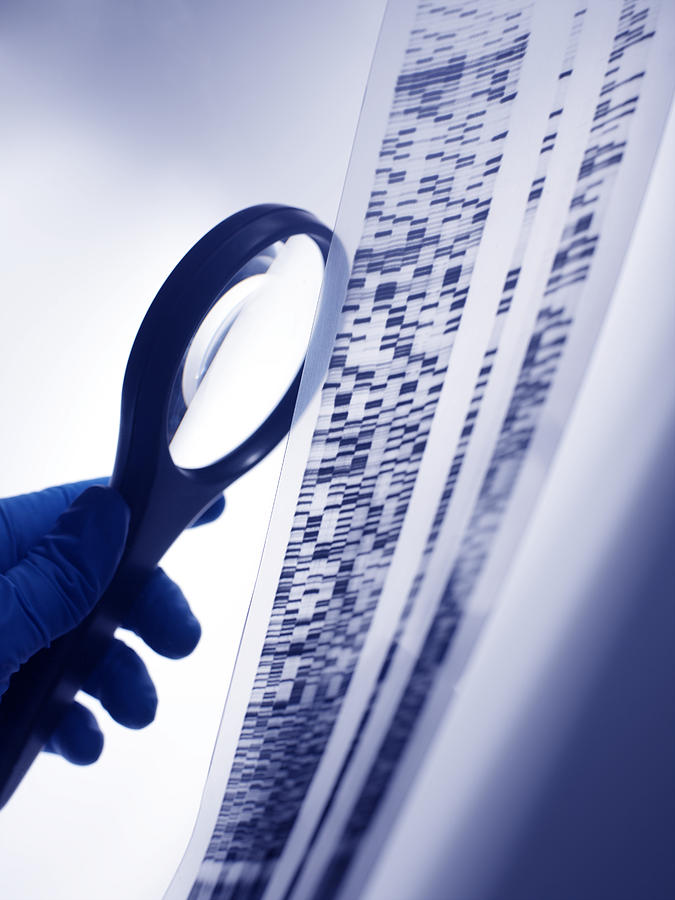 Dna Analysis Photograph by Tek Image - Fine Art America