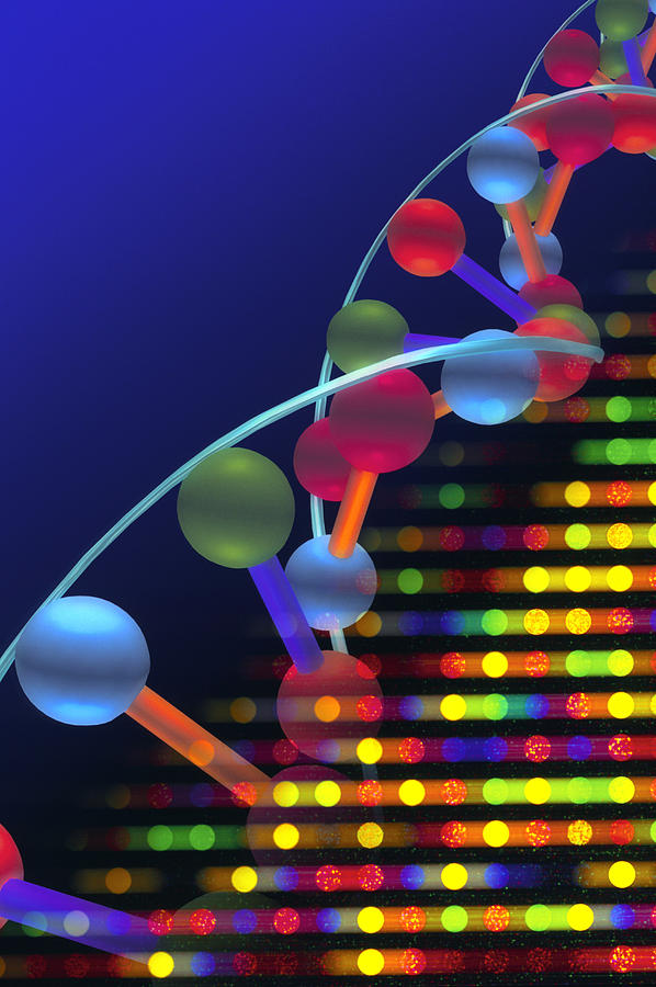 Dna Microarray And Double Helix Photograph by Pasieka - Fine Art America