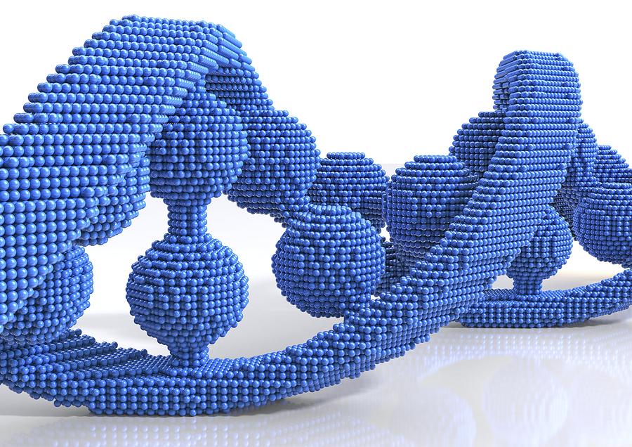 Dna Molecule, Artwork by Animated Healthcare Ltd / Science Photo Library
