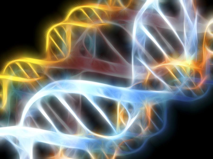 Dna Molecules, Computer Artwork Photograph by Laguna Design - Fine Art ...