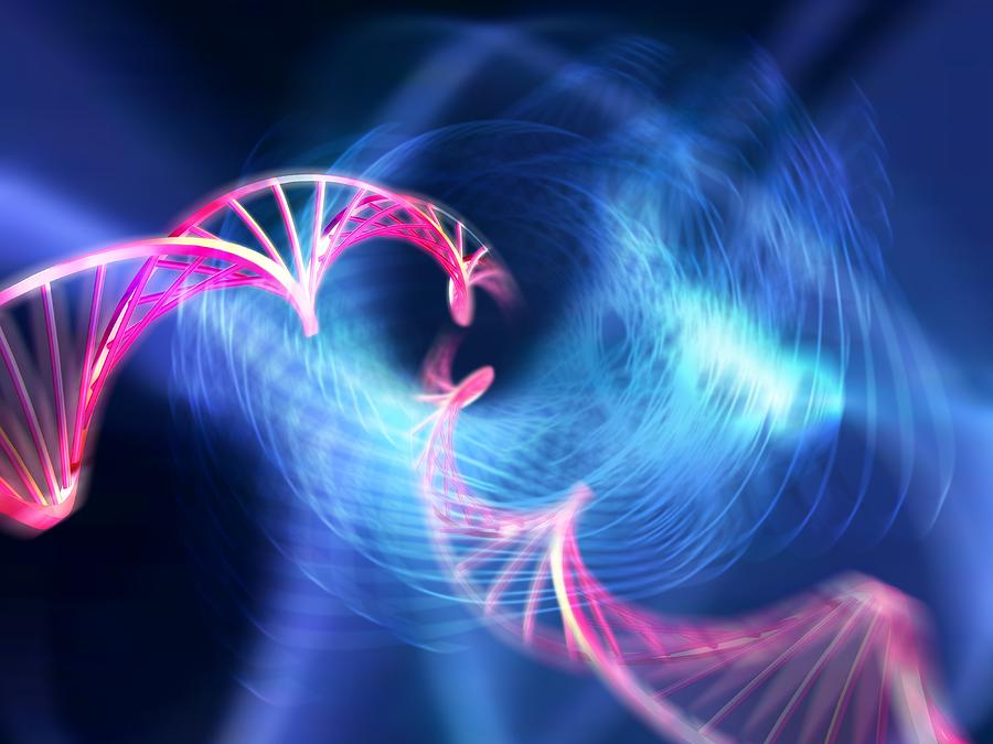 Dna Molecules, Computer Artwork by Science Photo Library