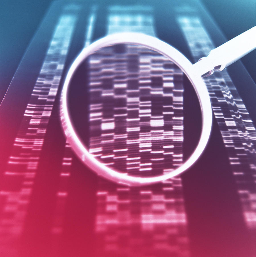 Dna Sequencing by Science Photo Library