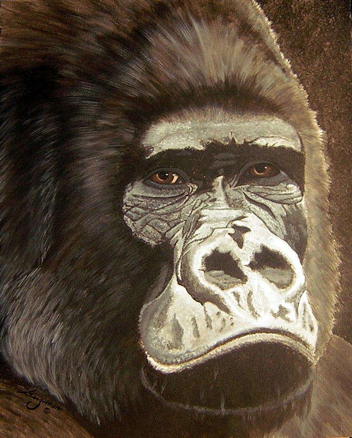 Do not pass Photograph by Greg Guzman - Pixels