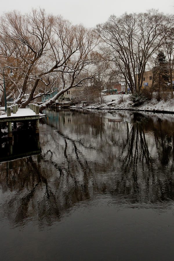 Double Trees Photograph by Jon Stacey - Fine Art America