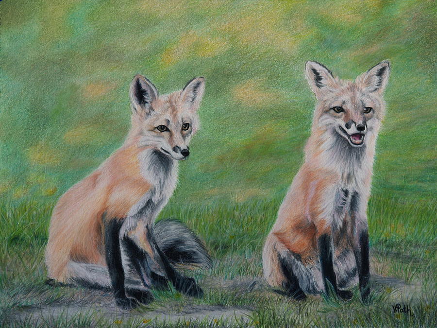 Double Trouble Drawing by Vicky Path | Fine Art America