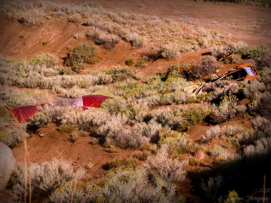 Downed Balloon Photograph by Aaron Burrows - Fine Art America