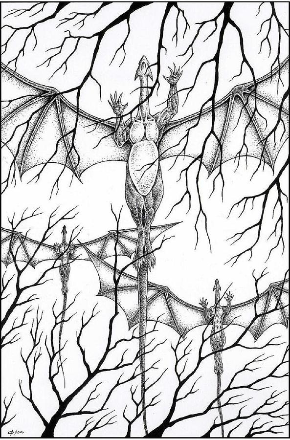 Dragon Migration Drawing by William Olson - Fine Art America