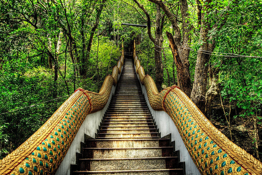 Temple Dragon Steps Photograph by Adrian Evans - Fine Art America