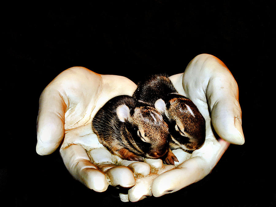 Dramatic Photograph by Art Dingo - Fine Art America