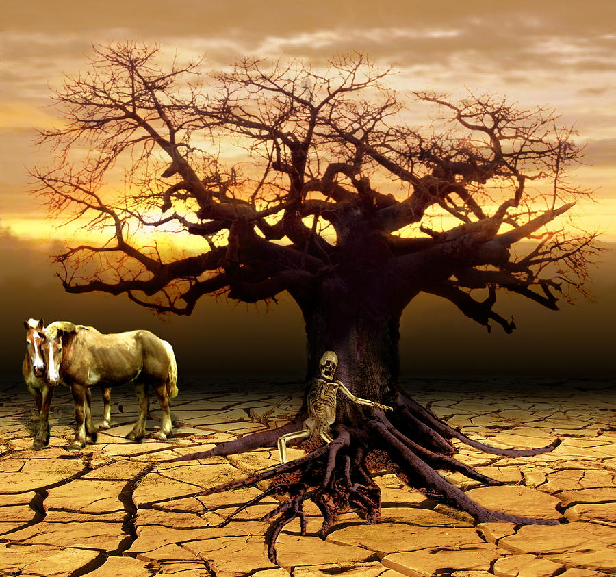 Drought Digital Art by E Kraizberg - Fine Art America