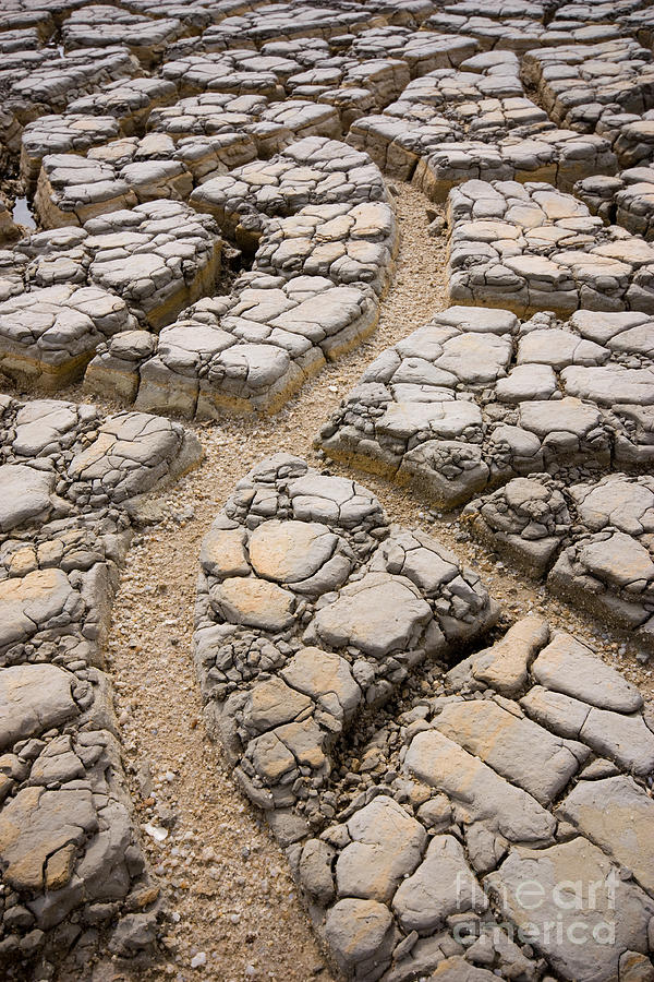 Dry soil pattern Photograph by Jomphong Polprasart - Fine Art America