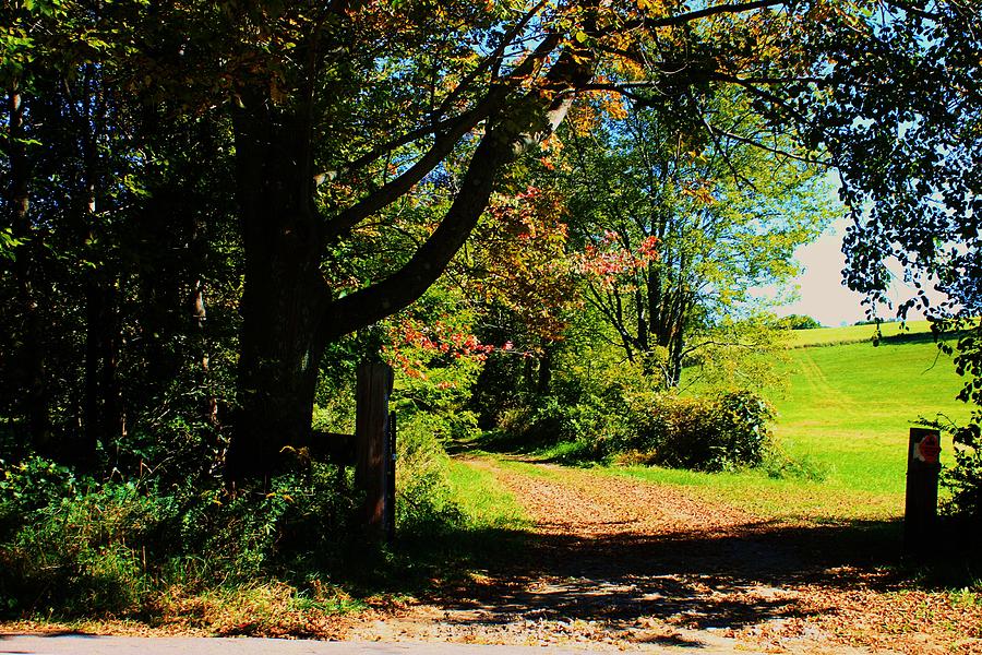 Early Fall Photograph by Kat Hall - Fine Art America