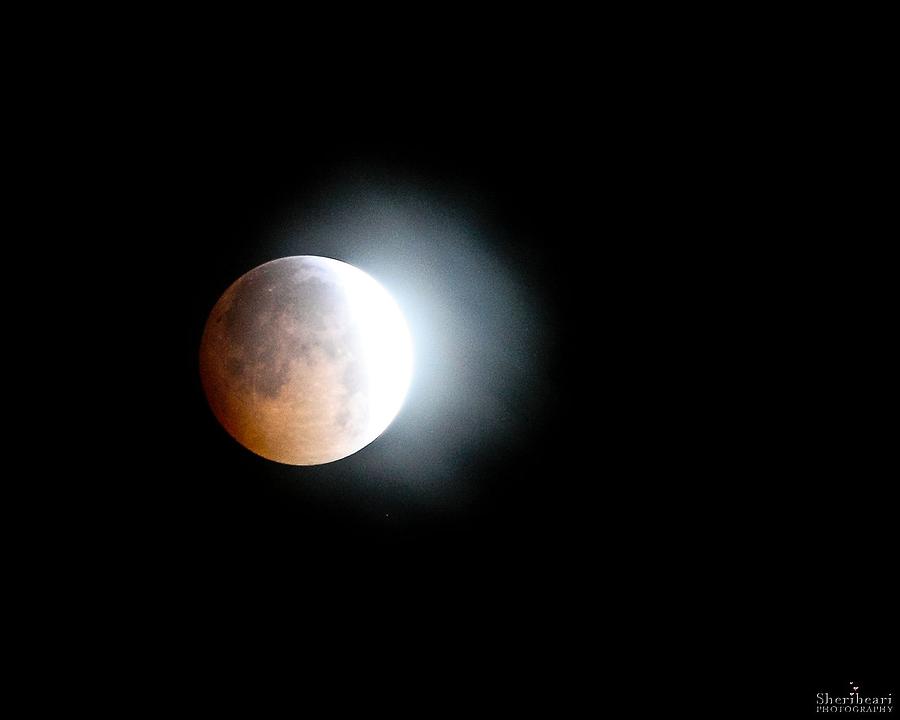 Eclipse reflections Photograph by Sheri Bartay - Fine Art America