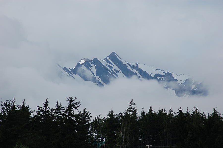 Emerging Photograph by Bo Simpson - Fine Art America