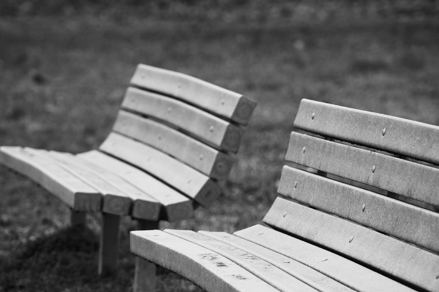 Empty Chair Project Two Photograph by Gina Lynn | Pixels