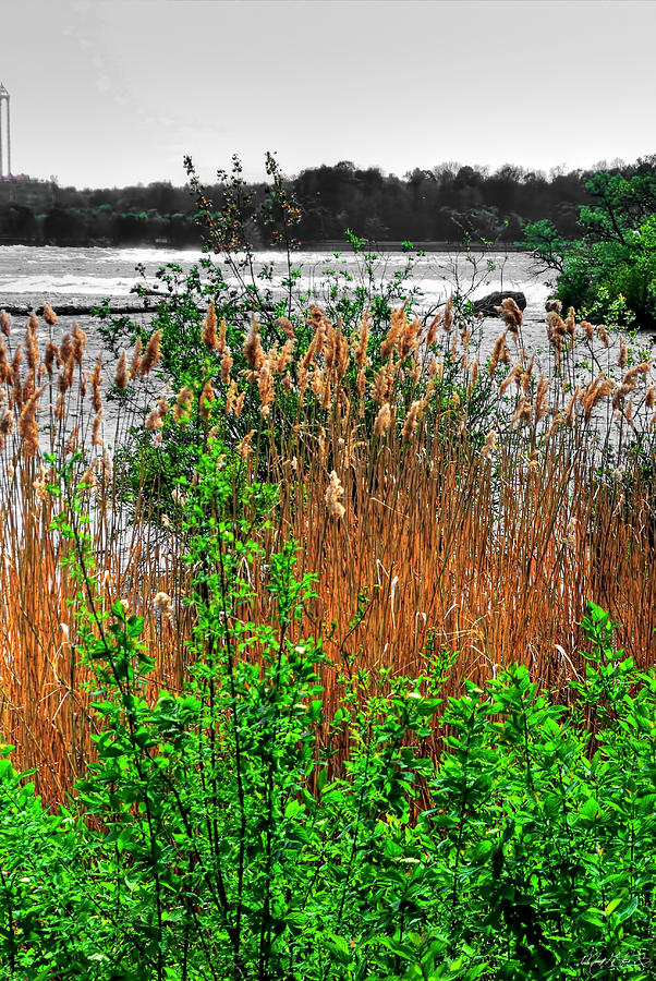 Empty Thoughts Photograph by Michael Frank Jr - Fine Art America