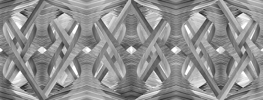 Entangled Photograph by Mike McGlothlen - Fine Art America