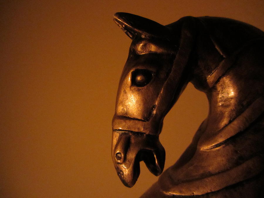Equus Digital Art by Larry A White - Fine Art America