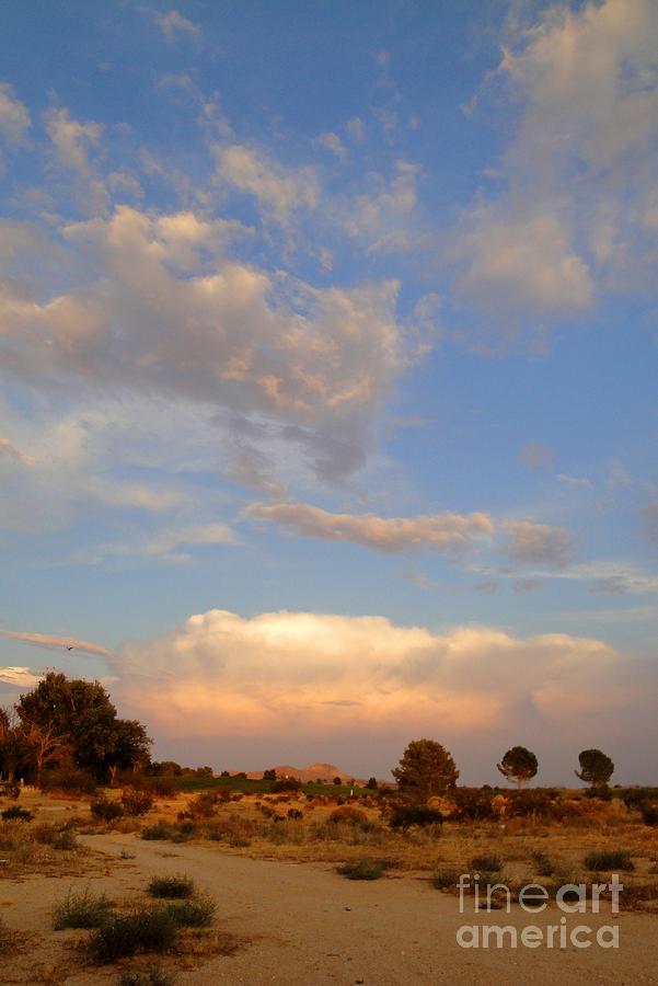 Evening Arrives Painting by Steve Ponting | Fine Art America