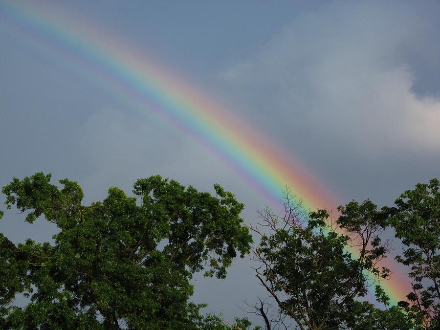Evening Rainbow Photograph by Robert Steen - Fine Art America