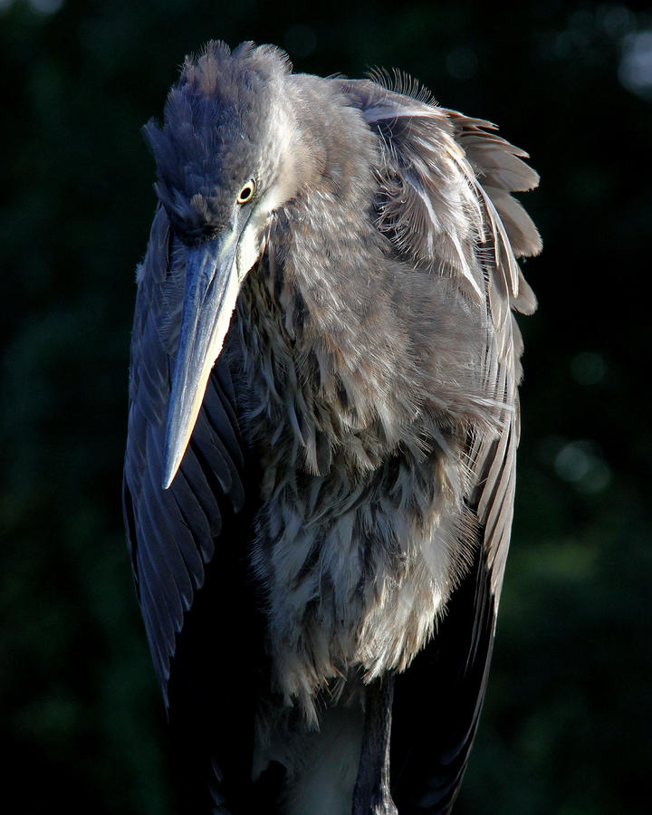 Evening reflection Photograph by Doris Potter - Fine Art America