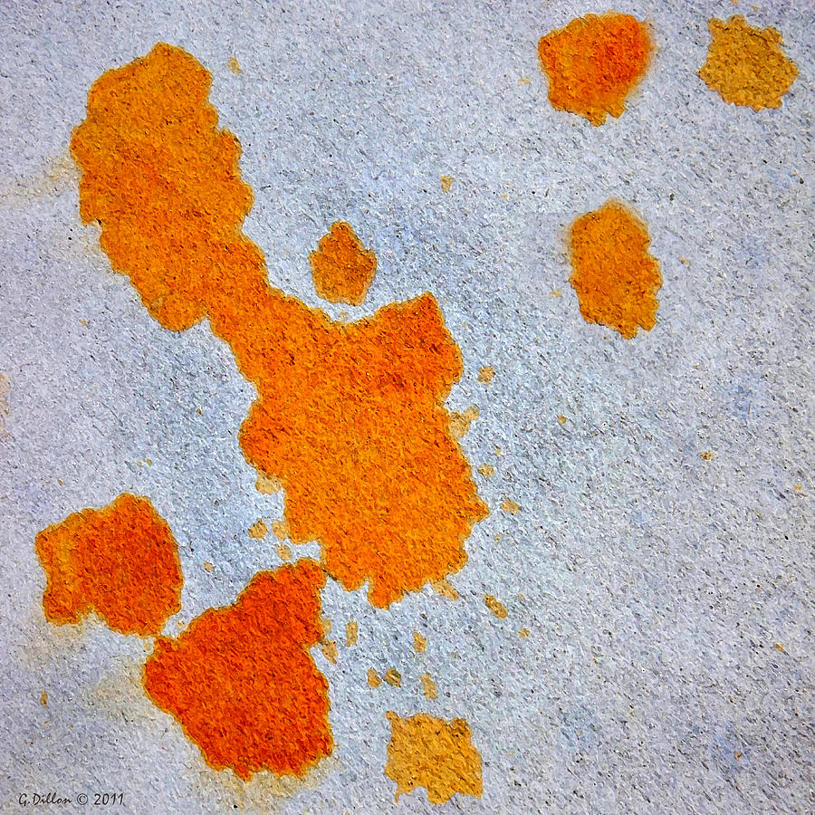 Evidence Photograph by Grace Dillon - Fine Art America