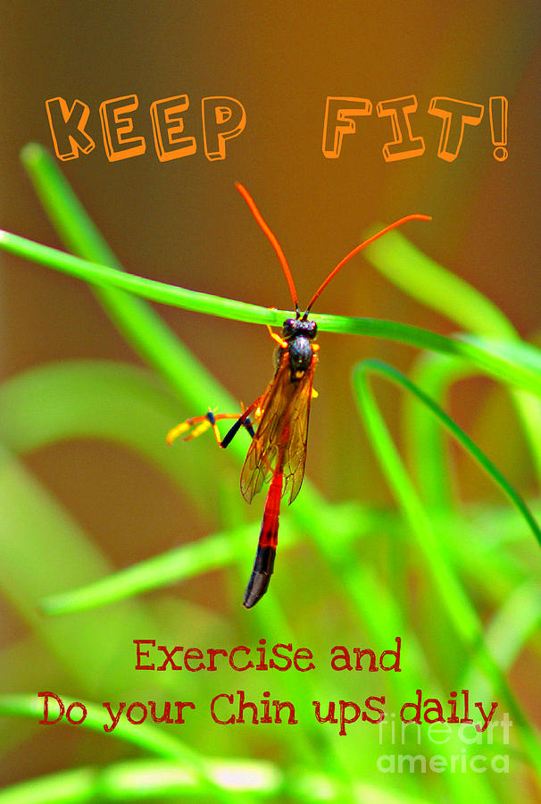 Exercising Bug Photograph by Randy Harris - Pixels