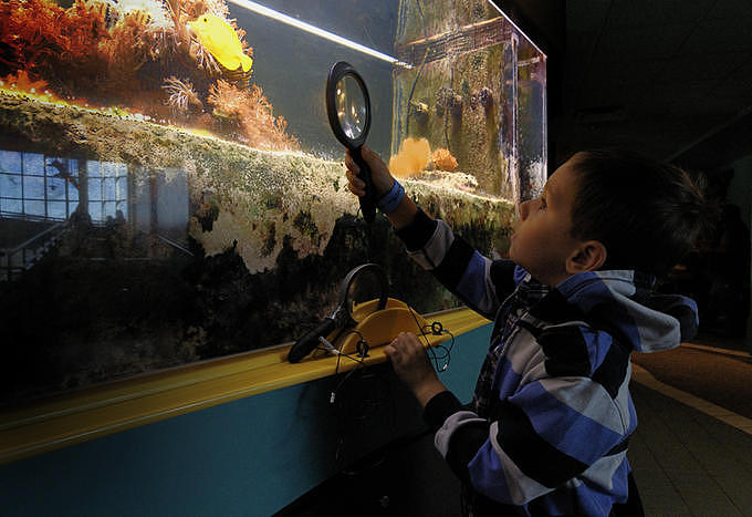 Explorer Photograph by Mark Dottle - Fine Art America