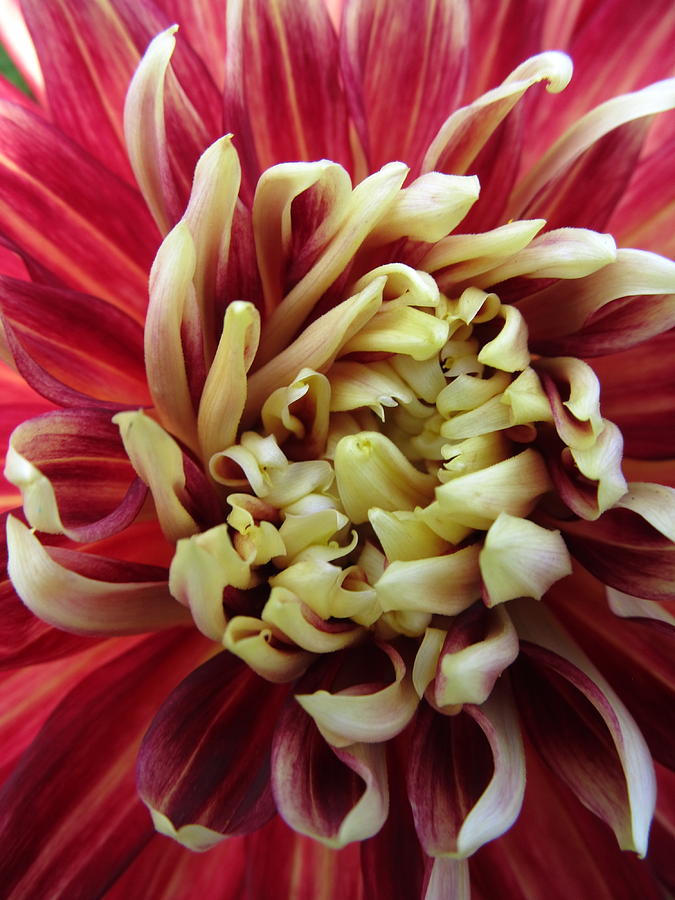 Explosion Photograph by Timothy Olmstead - Fine Art America