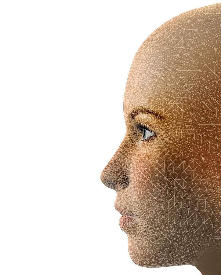 Facemapping, Artwork Photograph by Claus Lunau - Fine Art America