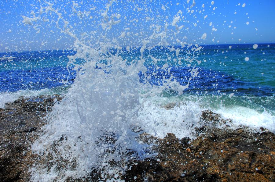 Fade into You Photograph by Bryan Steffy | Fine Art America