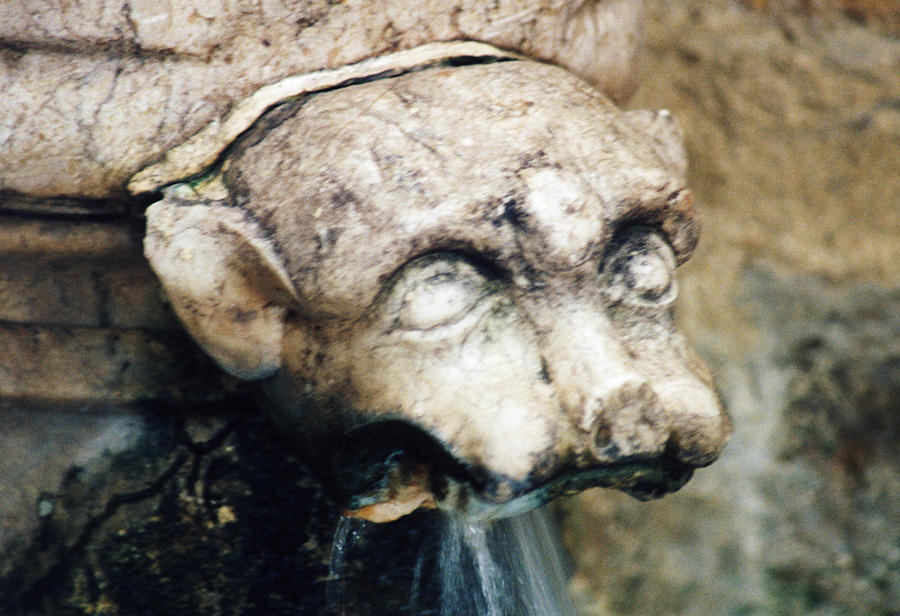 Failed Gargoyle Photograph by Norm Holmberg - Fine Art America