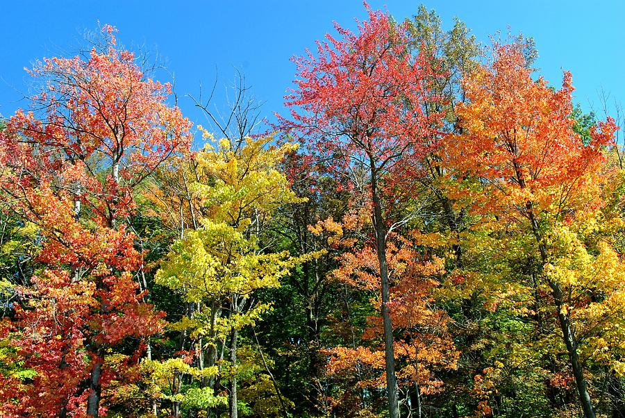 Fall Colors Photograph by Frozen in Time Fine Art Photography - Fine ...
