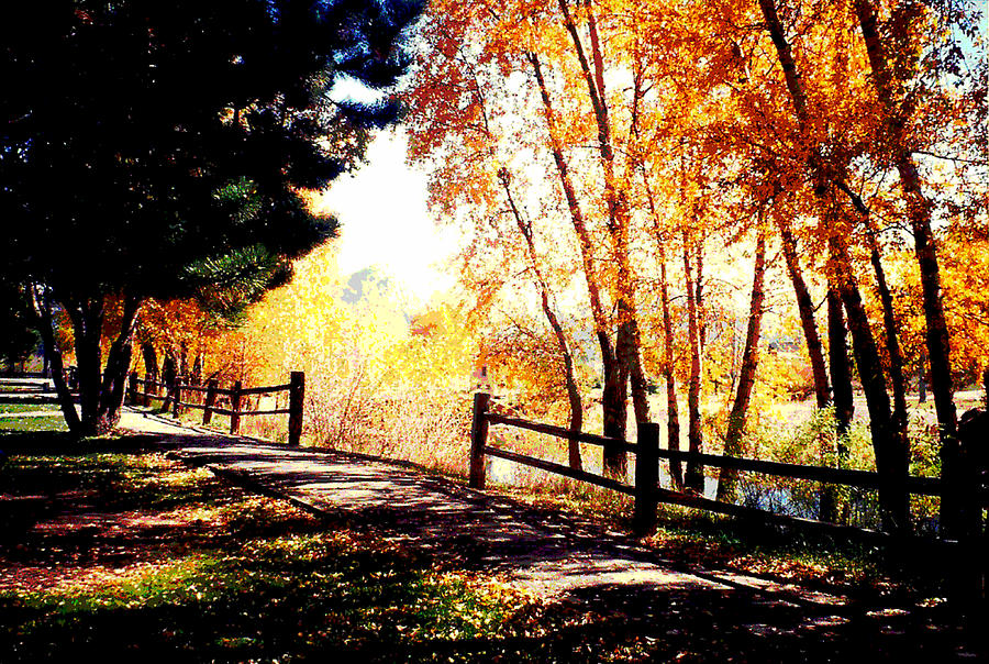 Fall day Photograph by David Alvarez - Fine Art America