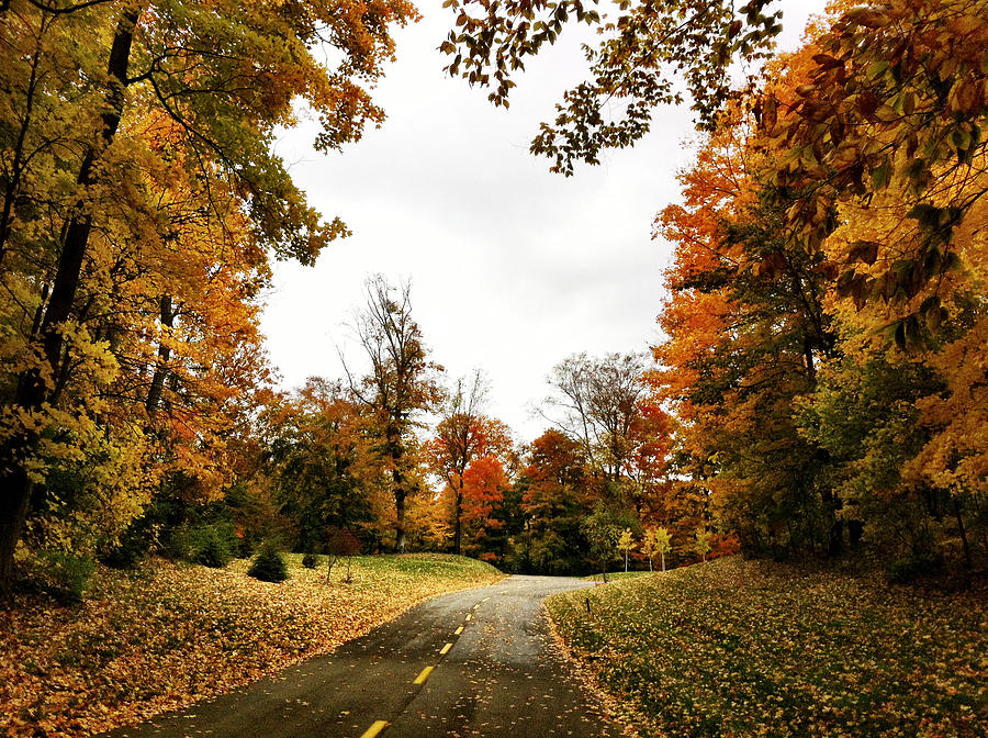 Fall Day Photograph by Richard Wallace - Fine Art America