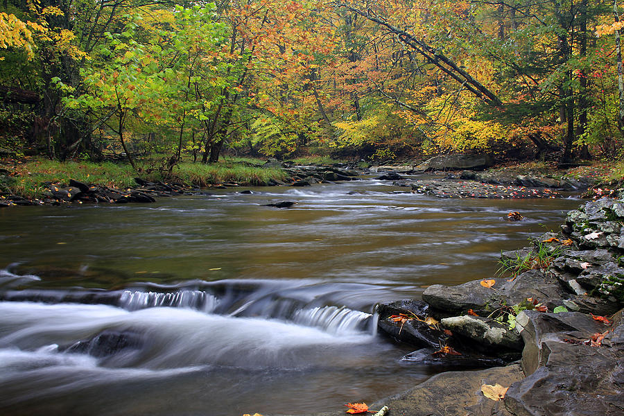 Fall Forward Photograph by Jeff Bord - Fine Art America