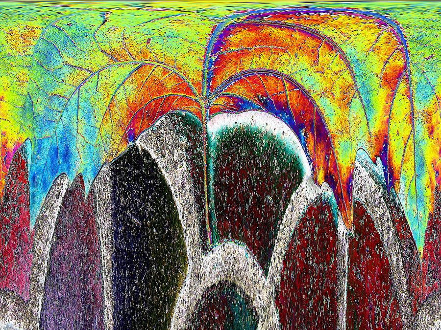 Fall Has Fallen Digital Art by Tim Allen - Fine Art America